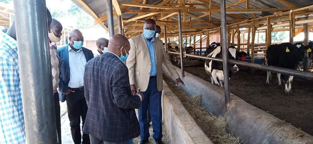 Kericho farmer builds model dairy unit after moving from open field to ...