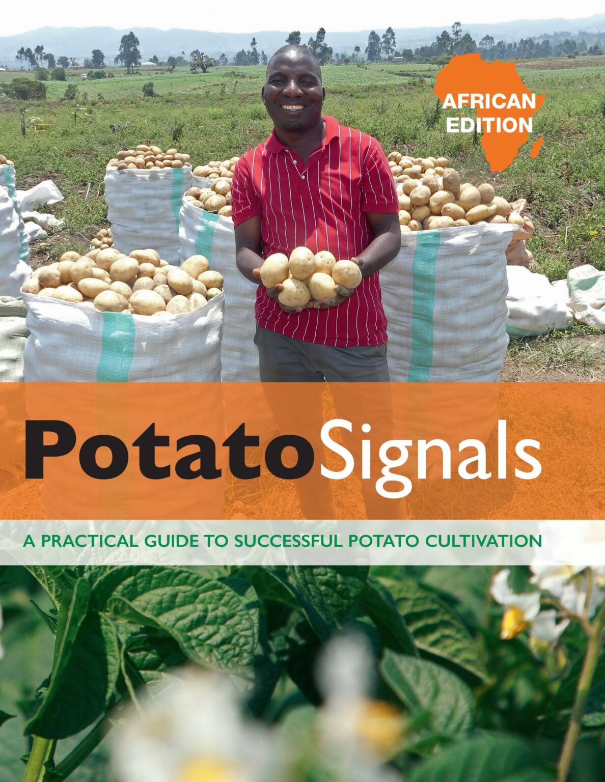 New potato farming handbook released by Dutch embassy & Agriculture ...
