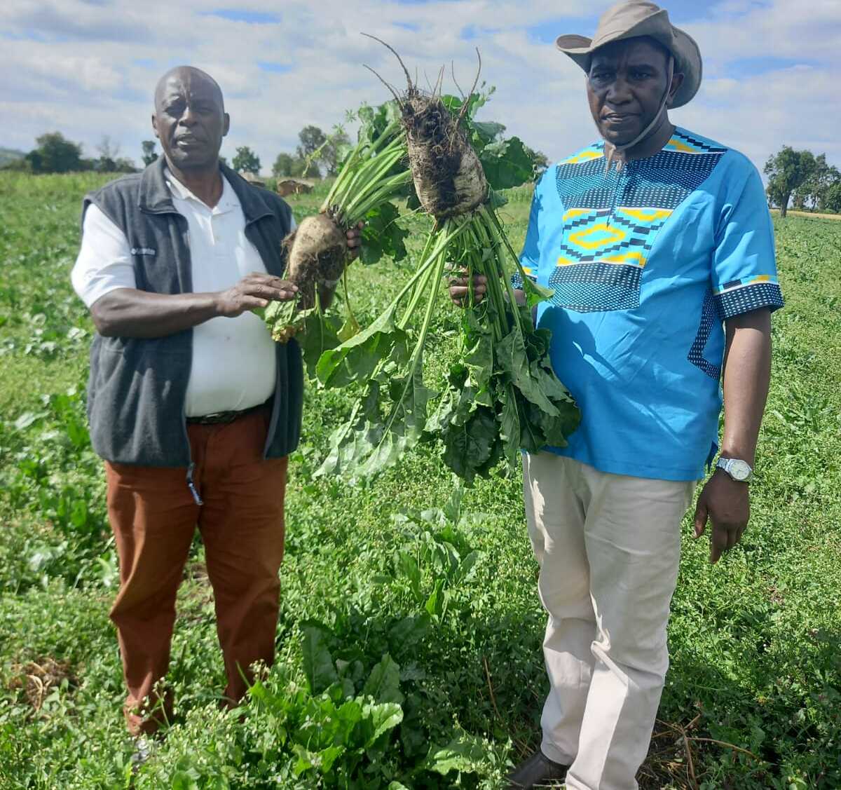 Kenya’s first sugar beet processor to recruit 650 farmers
