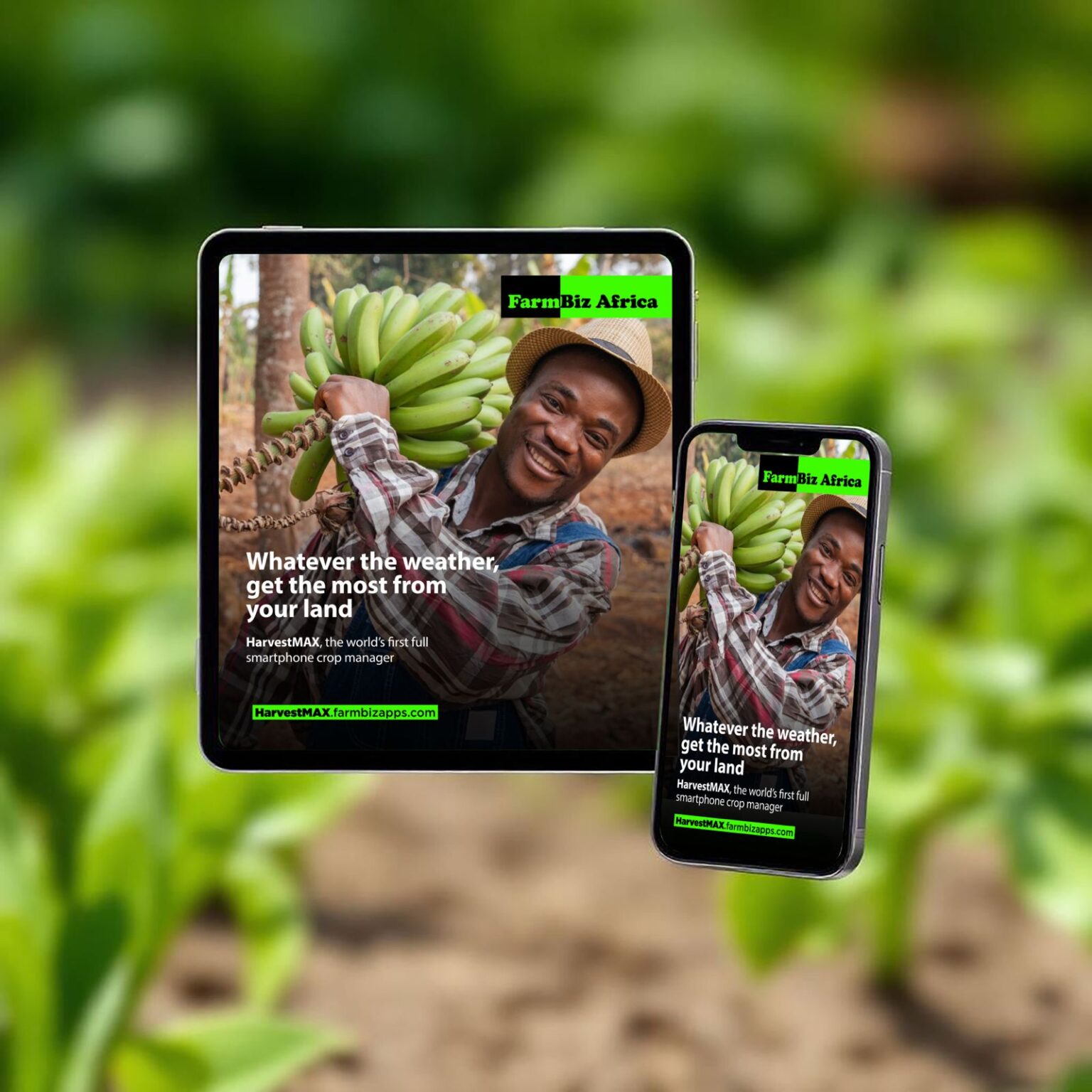 FarmBizAfrica launches AI showing farmers bounty crops for long rains